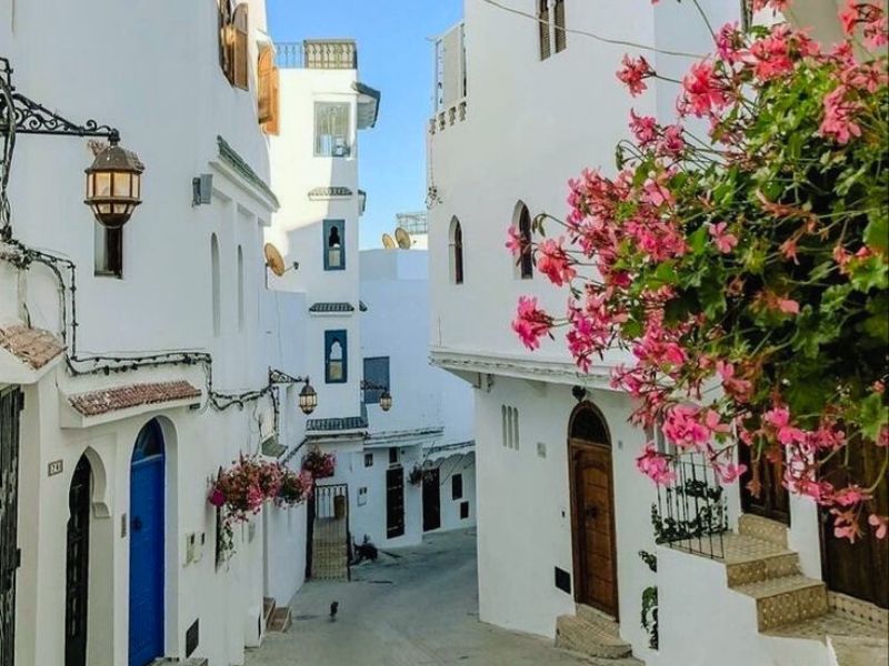 Explore the Historic Medina of Tangier: A Cultural Journey ...